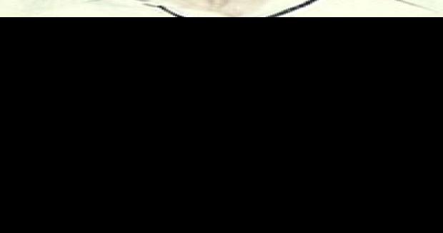 William P. ‘Bill’ Winstead Jr. | Obituaries | heraldbulletin.com