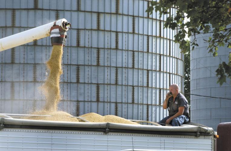 Man dies in grain silo accident | Archives | heraldbulletin.com