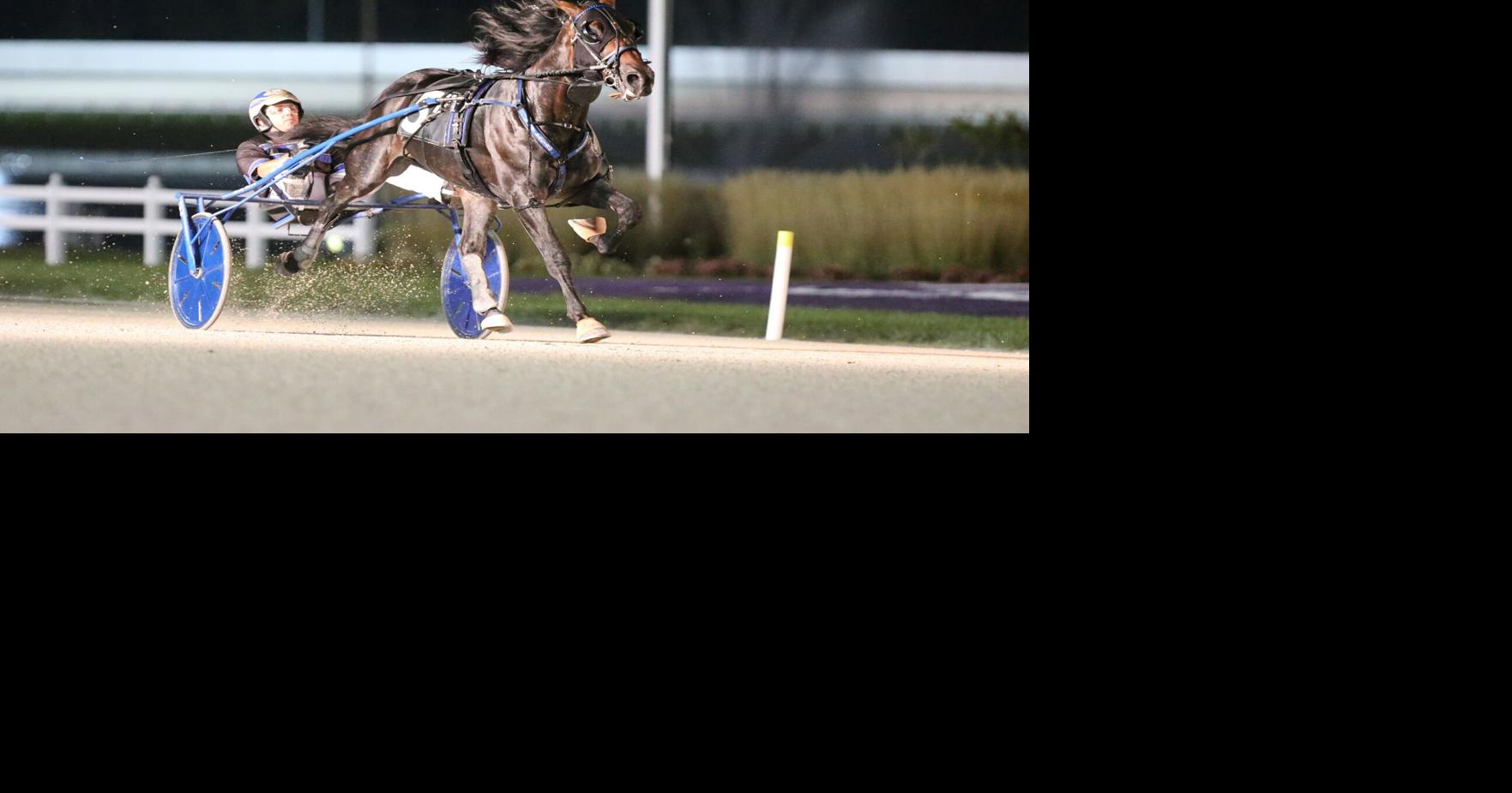 High stakes racing set for Harrah's Hoosier Park | Sports ...