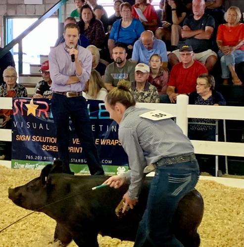 4-H Swine Show contestants excited, grateful for fair's return | Local ...