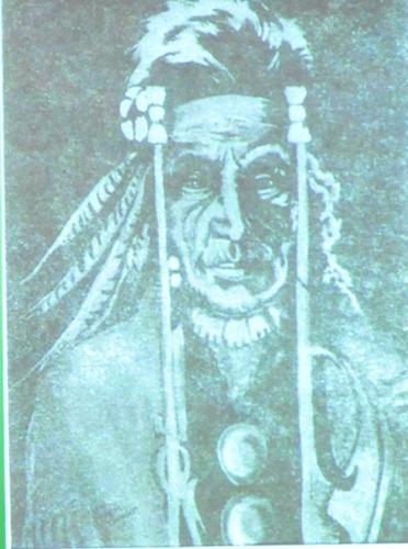 Historian highlights Chief Anderson's life at Frankton Bicentennial ...