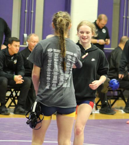 Shenandoah’s Merritt, BRV’s Webb push each other to state | Sports ...