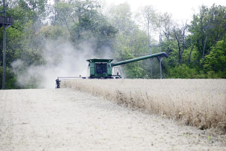 Grain dust stirs up risk of lung ailments | Local News | heraldbulletin.com