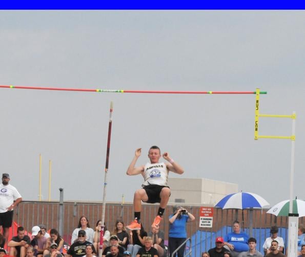Anderson earns pair of podium finishes at state | High School Sports ...