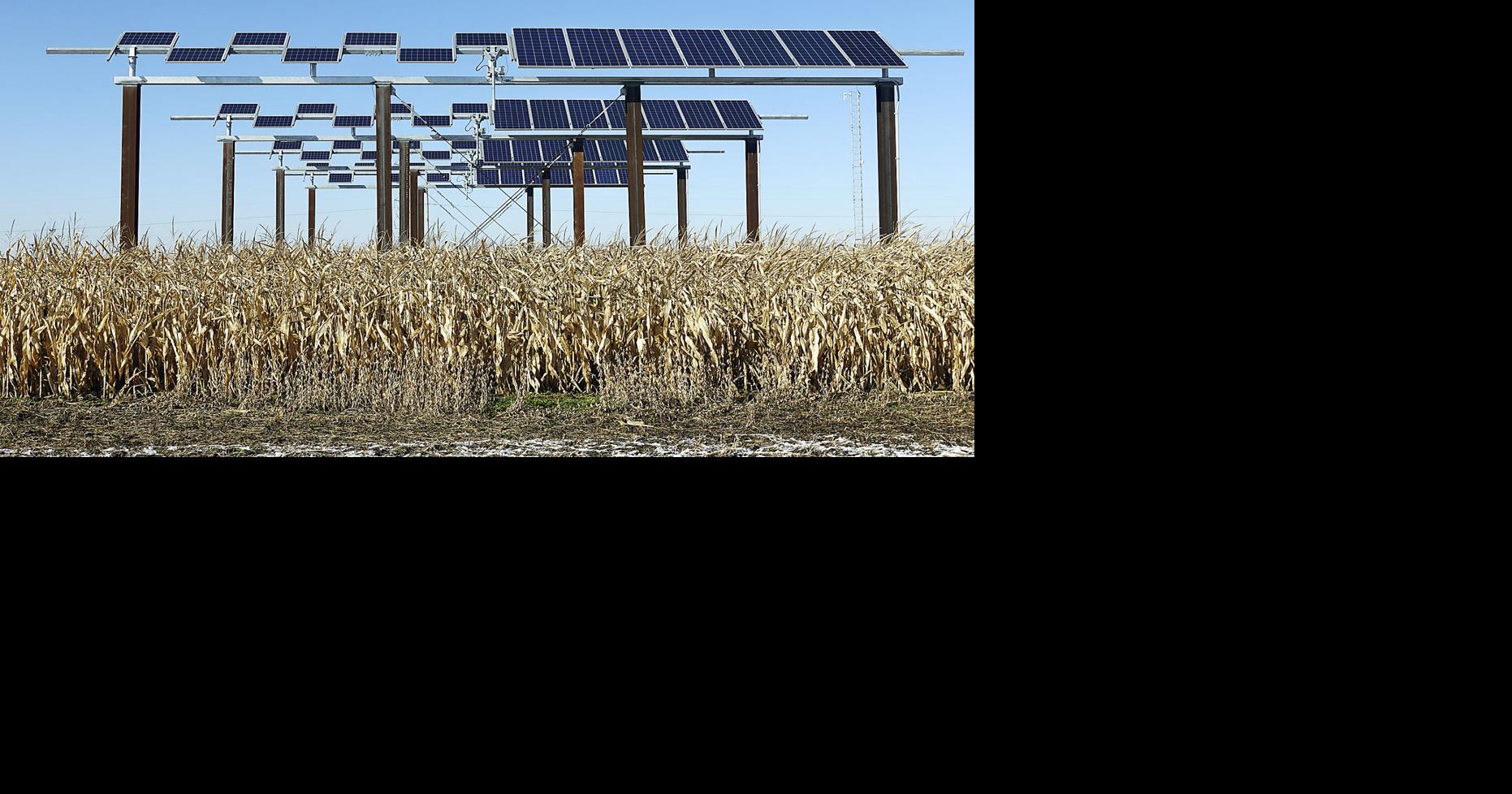 Madison County BZA denies 2-year extension for Lone Oak Solar project ...