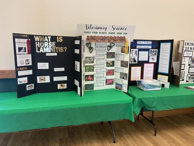 4-H projects showcased at fair exhibit hall | Local News ...