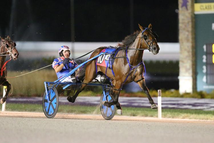 harness racing fields