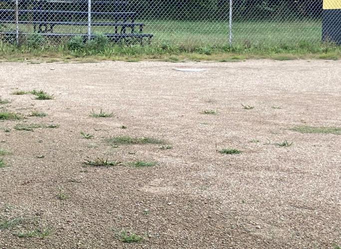 Daleville water project could put drain on residents’ money | Local ...