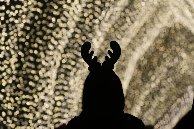 Golden Gate Park's dazzling holiday light display brings joy to the ...