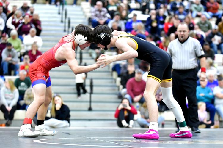 Dominant Alexandria takes first Madison County wrestling title since ...