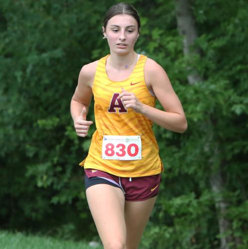 Goodwin repeats at Stephenson Invitational | High School Sports ...