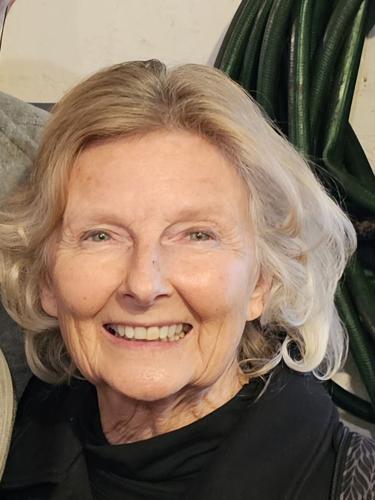 On Nature column: Data centers in Indiana hog energy, water | Columns ...