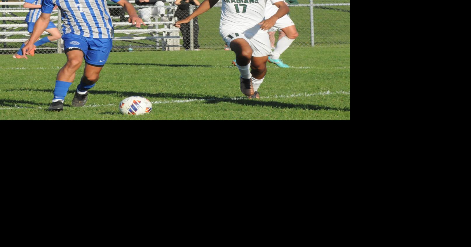 Arabians fall to Royals in sectional opener | High School Sports ...