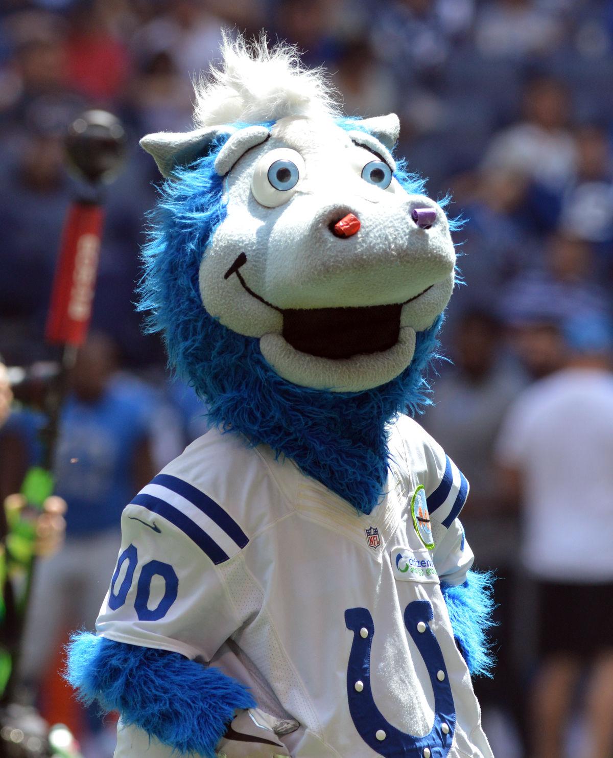 PHOTO GALLERY: Colts vs. Lions | Multimedia | heraldbulletin.com