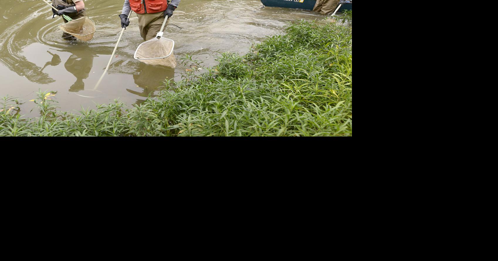 Project will sample White River from headwaters to confluence | News ...