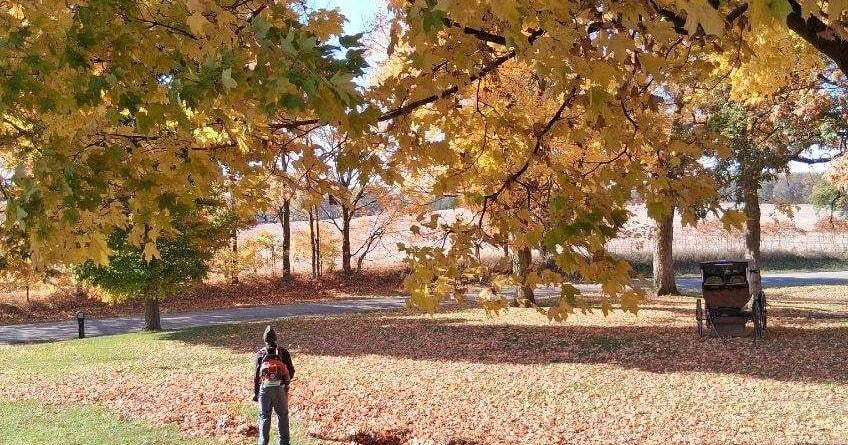 Lovina's Amish Kitchen: A cousin's farewell and autumn chores | Columns ...