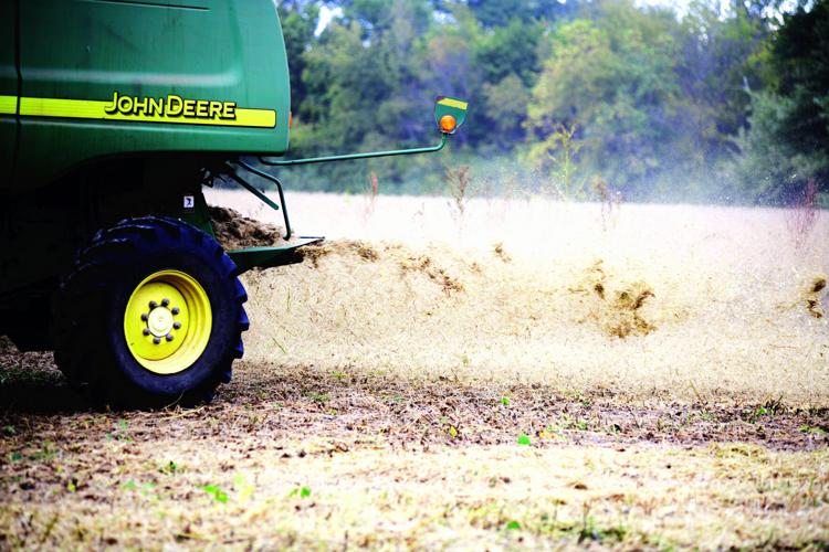 Grain dust stirs up risk of lung ailments | Local News | heraldbulletin.com