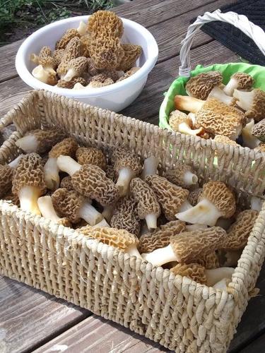 Scott Underwood column: Heaven in Madison County -- Nikol and Michael's ...