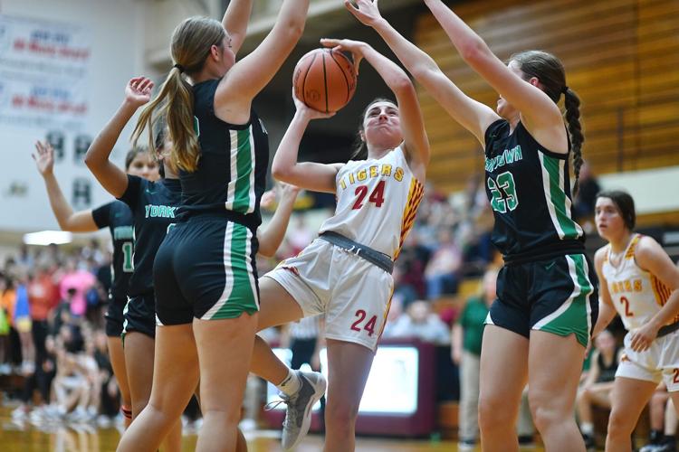 Alex's Hosier scores 1,000th point as Tigers remain unbeaten | High ...