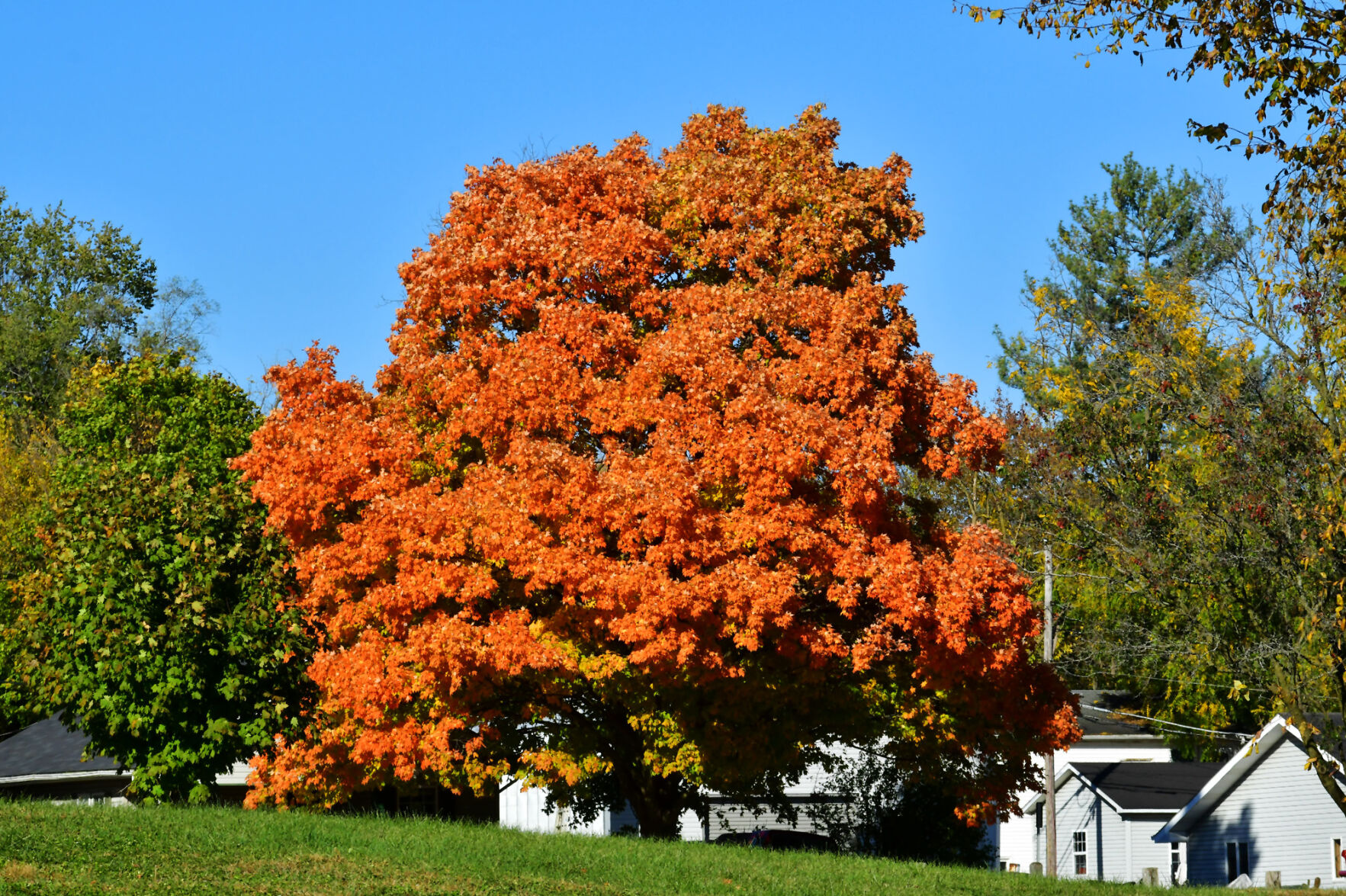PHOTOS: Madison County Fall Foliage | Gallery | heraldbulletin.com