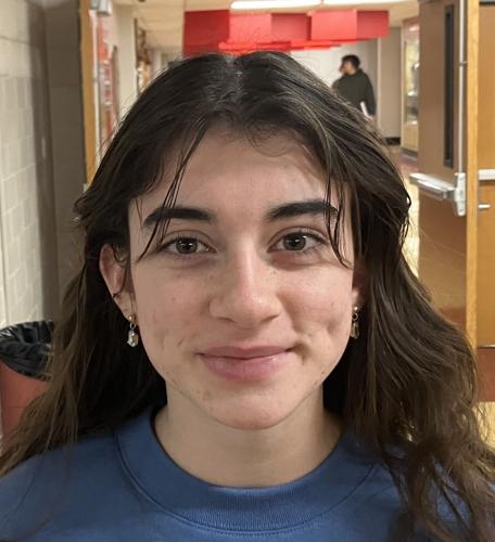 Indiana Court of Appeals conducts hearing at Frankton High School ...