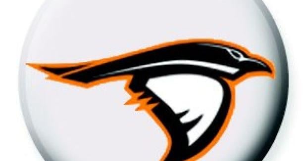 Cooley among Nine Ravens Receiving All-HCAC Recognition | Anderson ...