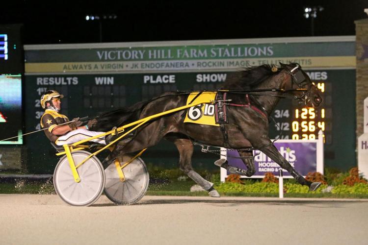 Flagman, Emma Town Bud capture Stakes victories at Hoosier Park ...