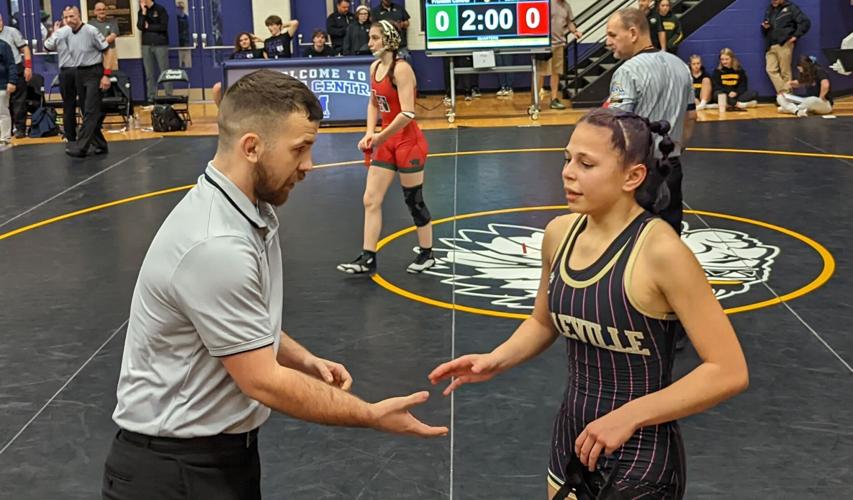 PH's Marsh leads six area wrestlers to state | High School Sports ...