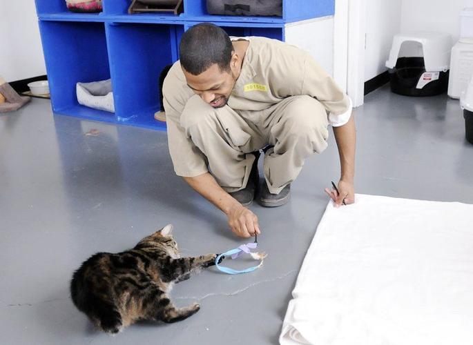 Stray cats get new home at Pendleton prison | Local News ...