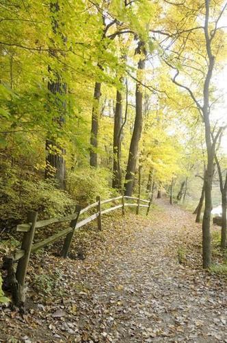 Mounds State Park hosts hike in honor of magical creature | Local News ...
