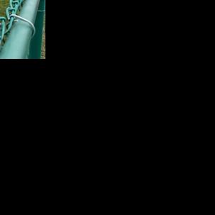 THB Sports Girls Cross Country Athlete of the Year: PH's Ava Jarrell ...