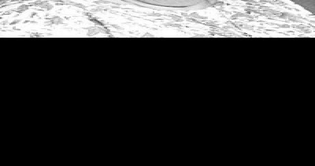 Norma Jean Rockwell | Obituaries | heraldbulletin.com