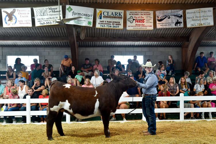 4-H beef show 'our sport,' relative says | Local News | heraldbulletin.com