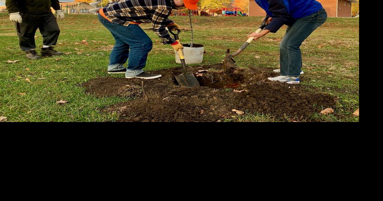 Volunteers plant trees, stress Pendleton's resilience in tornado ...
