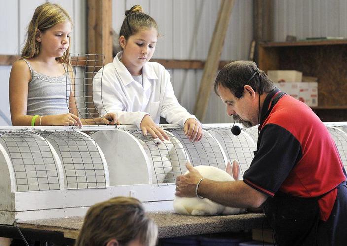 11-year-old Riley Cass wins best of show in rabbit show | Local News ...