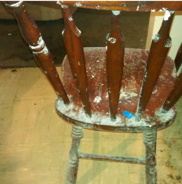 What you should know about mold | MAD Life | heraldbulletin.com