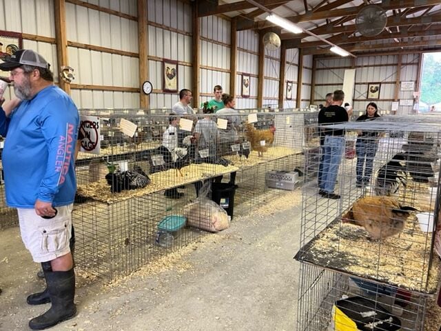 Poultry show kicks off Monday 4-H Fair events | Local News ...
