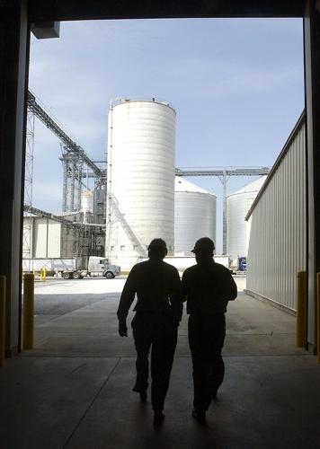 Poet's scaleback of production not expected to affect Alexandria ...