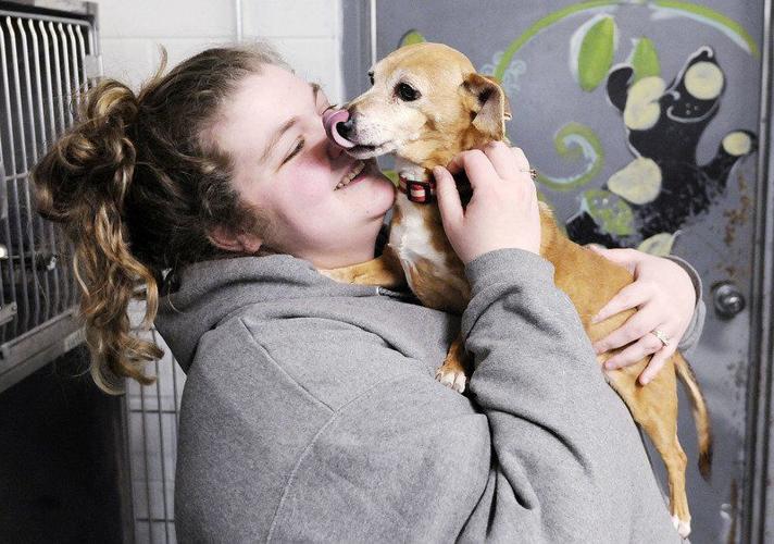 Animal advocates seek solutions, not 'last resorts' | Local News ...