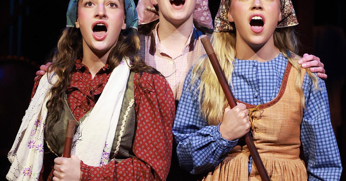 Review: ‘Fiddler on the Roof’ at Beef and Boards comes up short | MAD ...