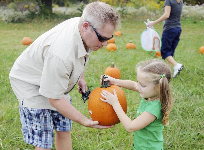 Anderson University students reinvent old GM park | MAD Life | heraldbulletin.com