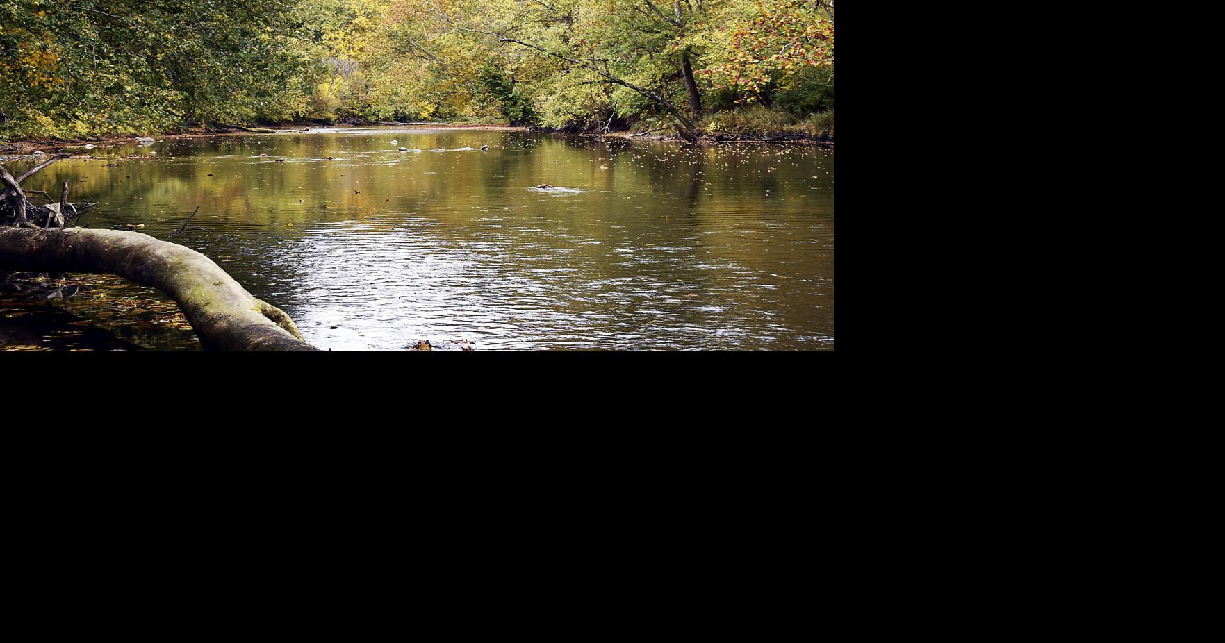 Red-tail Land Conservancy working to protect Indiana's natural habitat ...