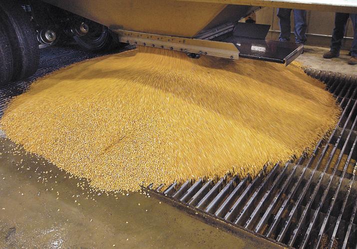 9:22 p.m.: Corn begins arriving at Poet | Local News | heraldbulletin.com