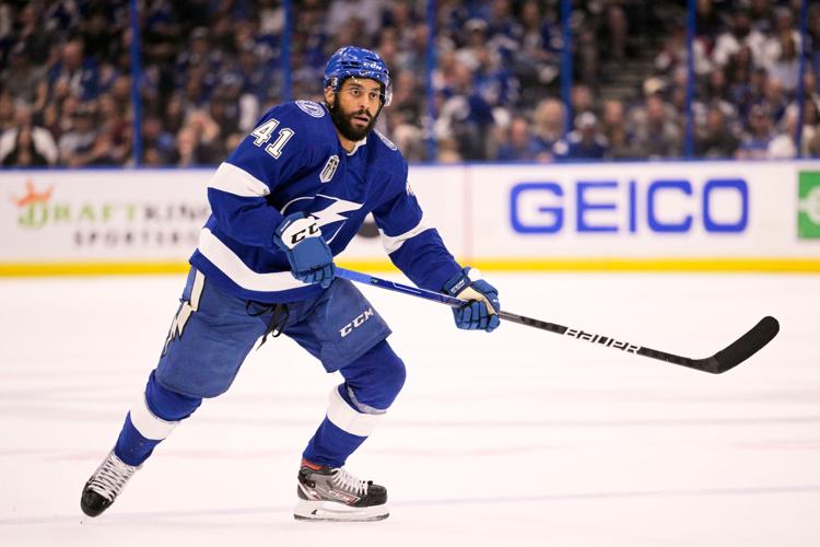 Pierre-Edouard Bellemare says he's retiring from hockey at age 41 ...