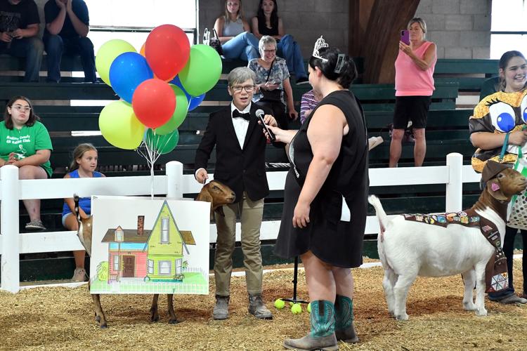 PHOTOS: Madison County 4-H Fair Goat Show | Gallery | heraldbulletin.com