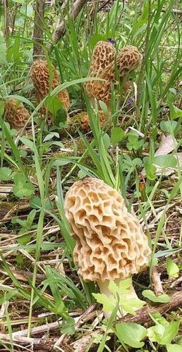 Scott Underwood column: Heaven in Madison County -- Nikol and Michael's ...