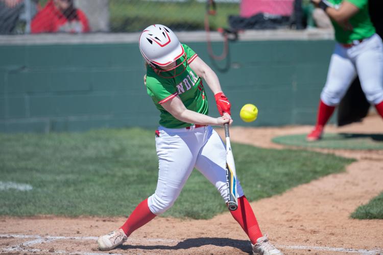 Talented pool: Preview of the 2025 area softball season | High School ...