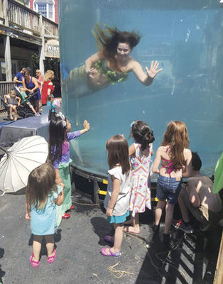 Festival mania | Local News | heraldpalladium.com