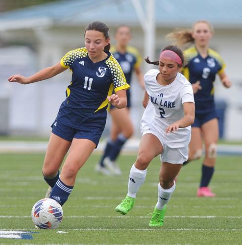 St. Joseph can't hold lead in final minutes in loss to Gull Lake ...