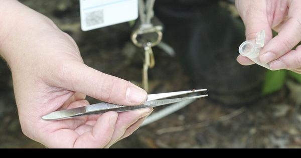 Nervous ticks | Local News | heraldpalladium.com